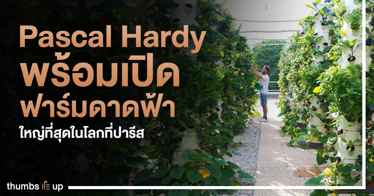 Pascal Hardy พร้อมเปิด “ฟาร์มดาดฟ้า” ใหญ่ที่สุดในโลกที่ปารีส • Thumbsup