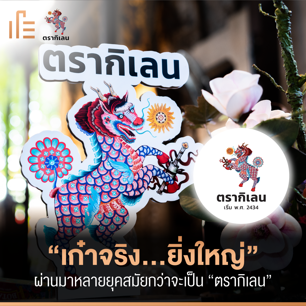 Delve into "Kilen Brand" and the big brand transformation Reinforcing ...