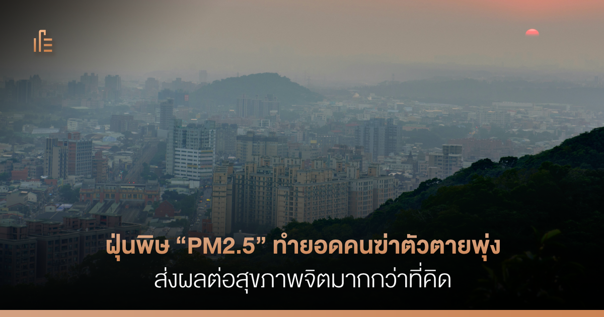 ฝุ่นพิษ “PM2.5” ทำยอดคนฆ่าตัวตายพุ่ง ส่งผลต่อสุขภาพจิตมากกว่าที่คิด • Thumbsup